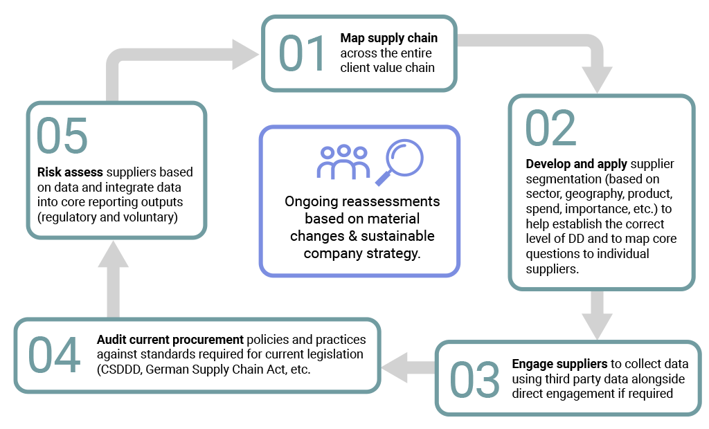 process-overview | eco-shaper | Sustainability Reporting